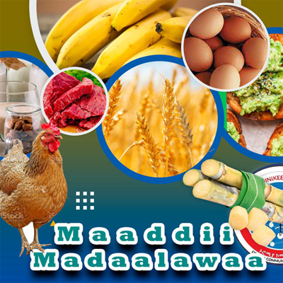 Home [www.oromiacommunication.gov.et]